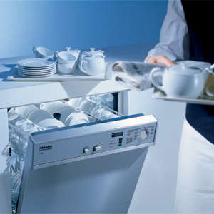 Kitchen: High Speed Dishwasher - Remodelista