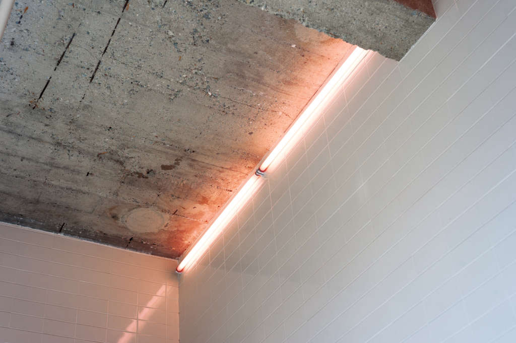 Design Sleuth: A Blush-Colored Neon Tube Light - Remodelista
