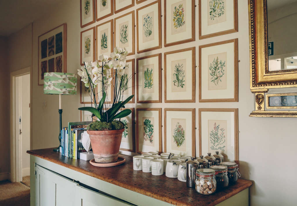 Botany of Desire: 16 Favorite Botanical Prints as Decor - Remodelista