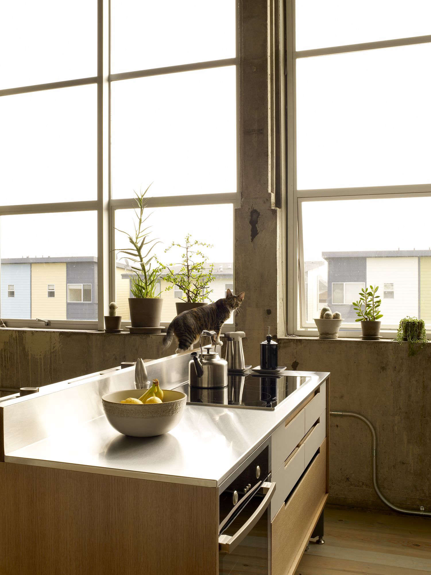 Kitchen of the Week: A Modern Live/Work Kitchen for an Oakland Creative ...
