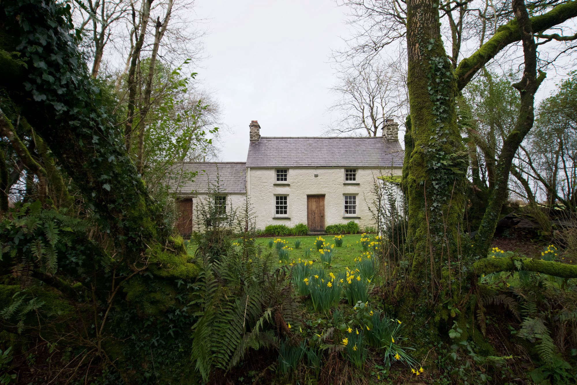 The Welsh House: Slow Living in a Traditional Cottage, Available for ...