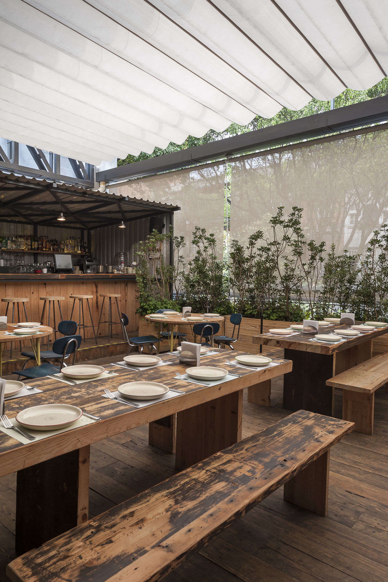 Restaurant Visit: Baja Transported, in Mexico City - Remodelista