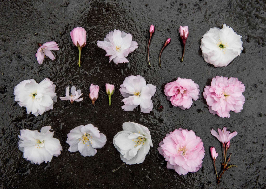 Trending on Gardenista: The Scandi Garden - Remodelista