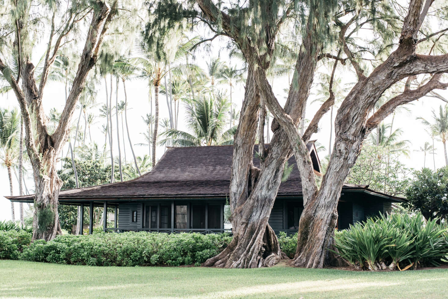 A Vintage Hawaiian Beach Cottage, Restored and Ready for Relaxation ...