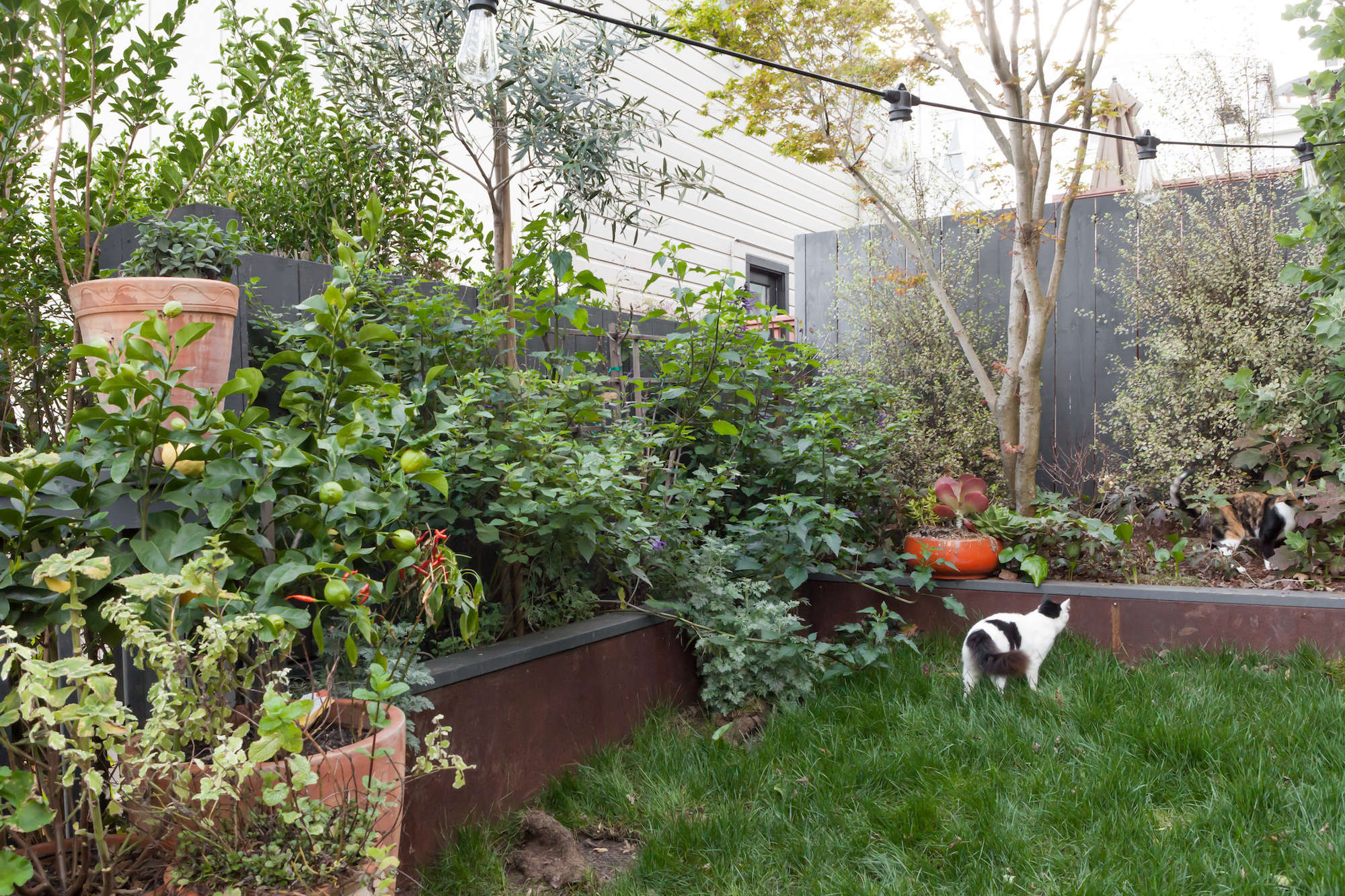 Tour the Home Kitchen of Tartine Owners Elisabeth Prueitt and Chad ...
