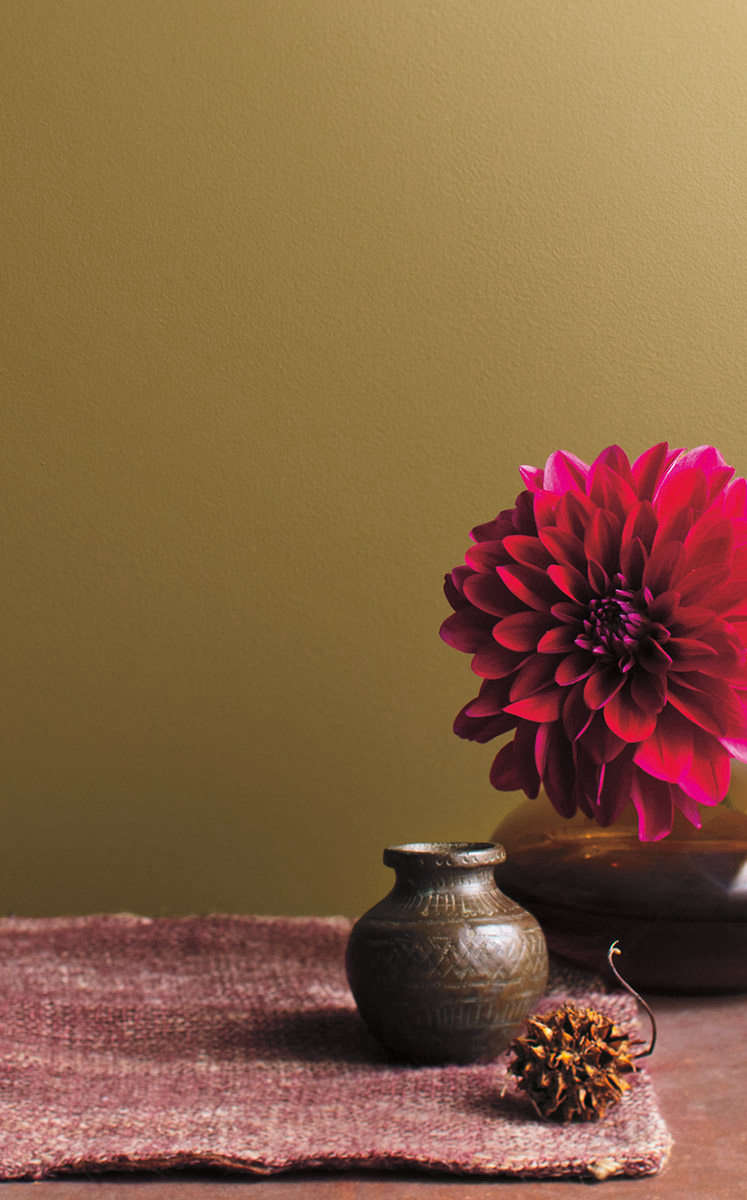 Century: A Familiar Small-Batch Paint Line from Benjamin Moore ...