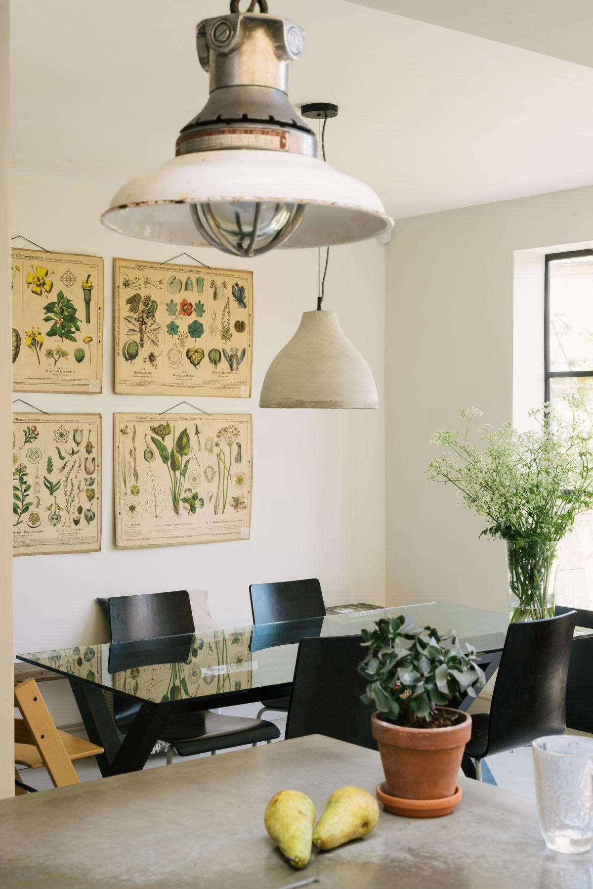 deVol Simon Cox kitchen in a glasshouse addition