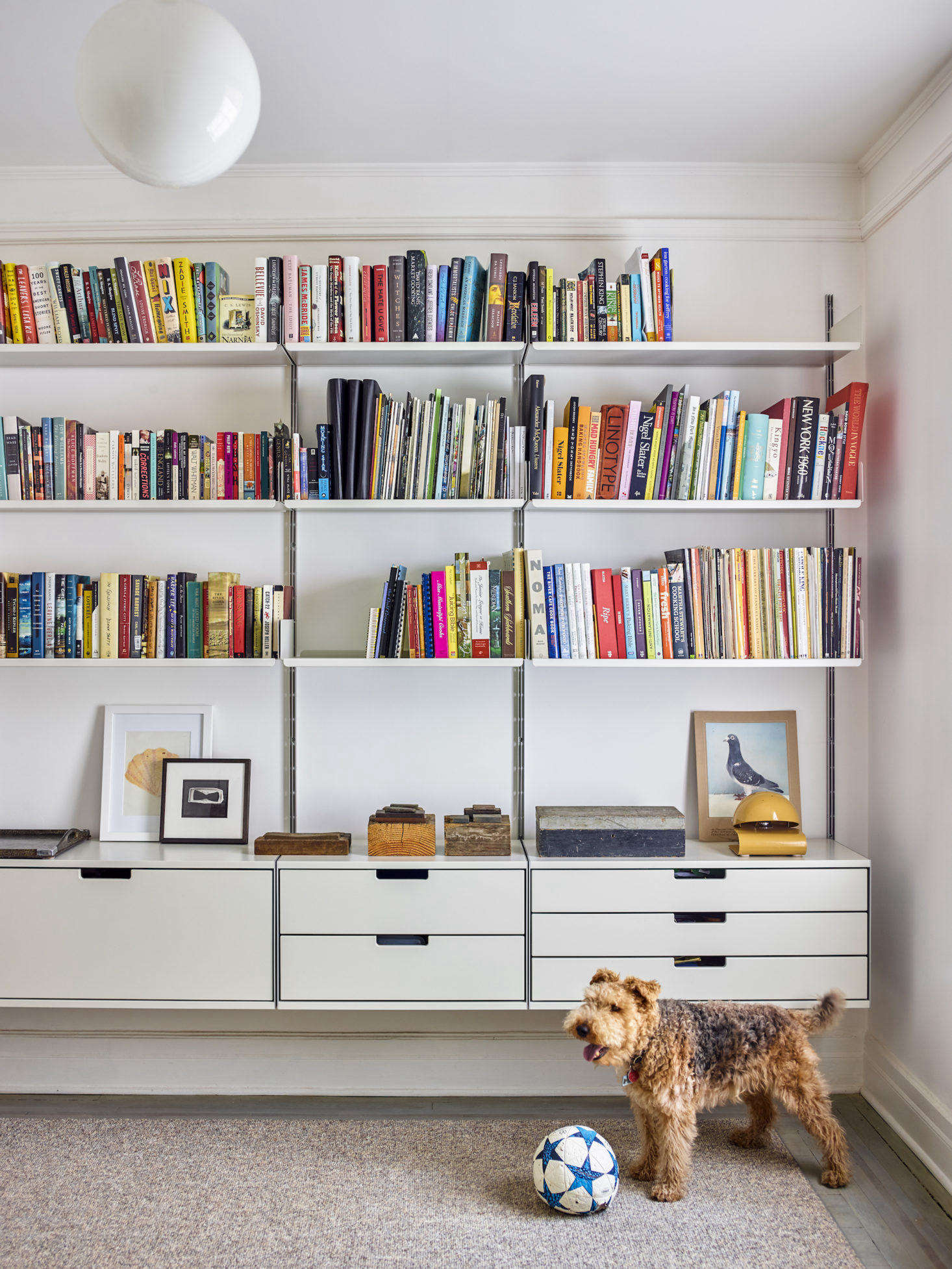 Trending on The Organized Home: For the Dogs - Remodelista