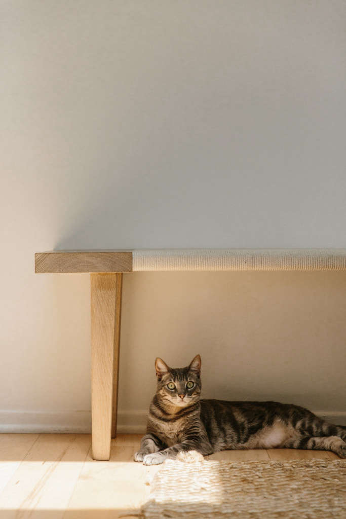 Made in LA: A New, Pared-Back Furniture Collection from Jenni Kayne ...