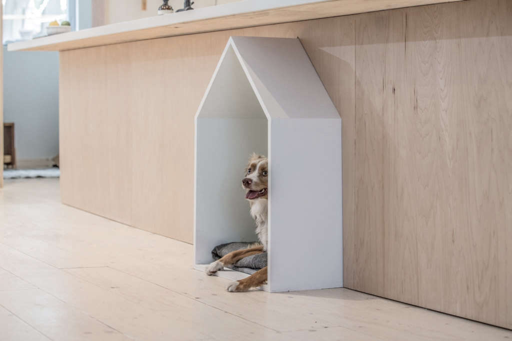 8 Standout Pet Built-Ins: Integrated Designs for Dog and Cat Bowls ...