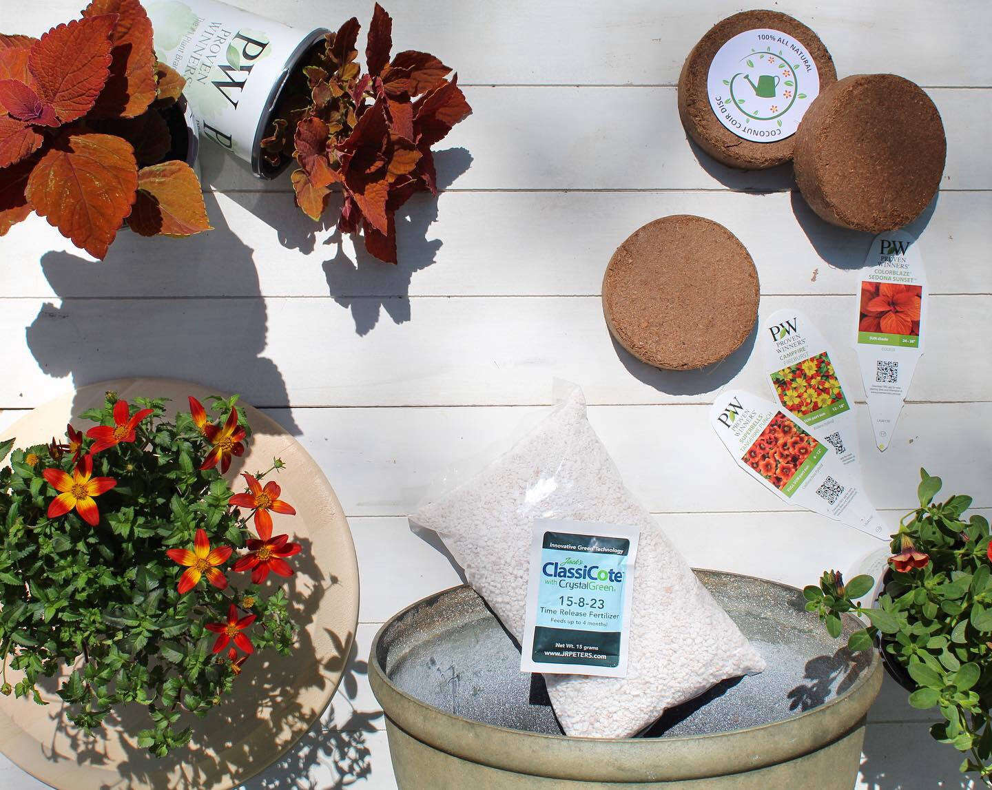 Looking to Add Some Life to Your Space? Plant Package Makes It Easy ...