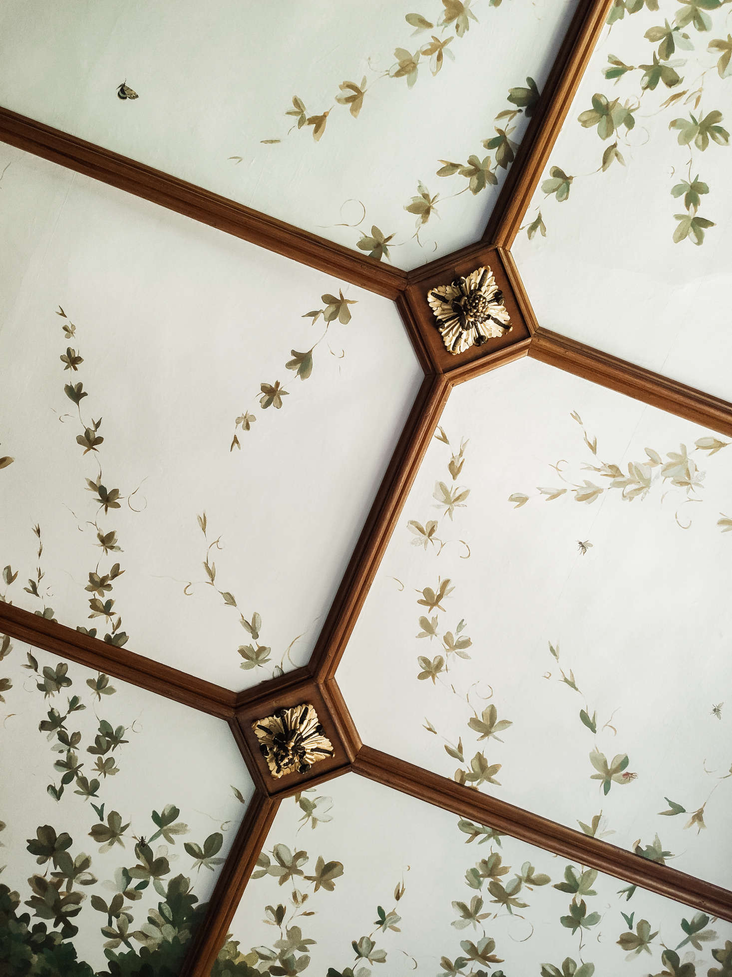 Into the Wild: "Overgrow," a New Line from Calico Wallpaper in Brooklyn ...