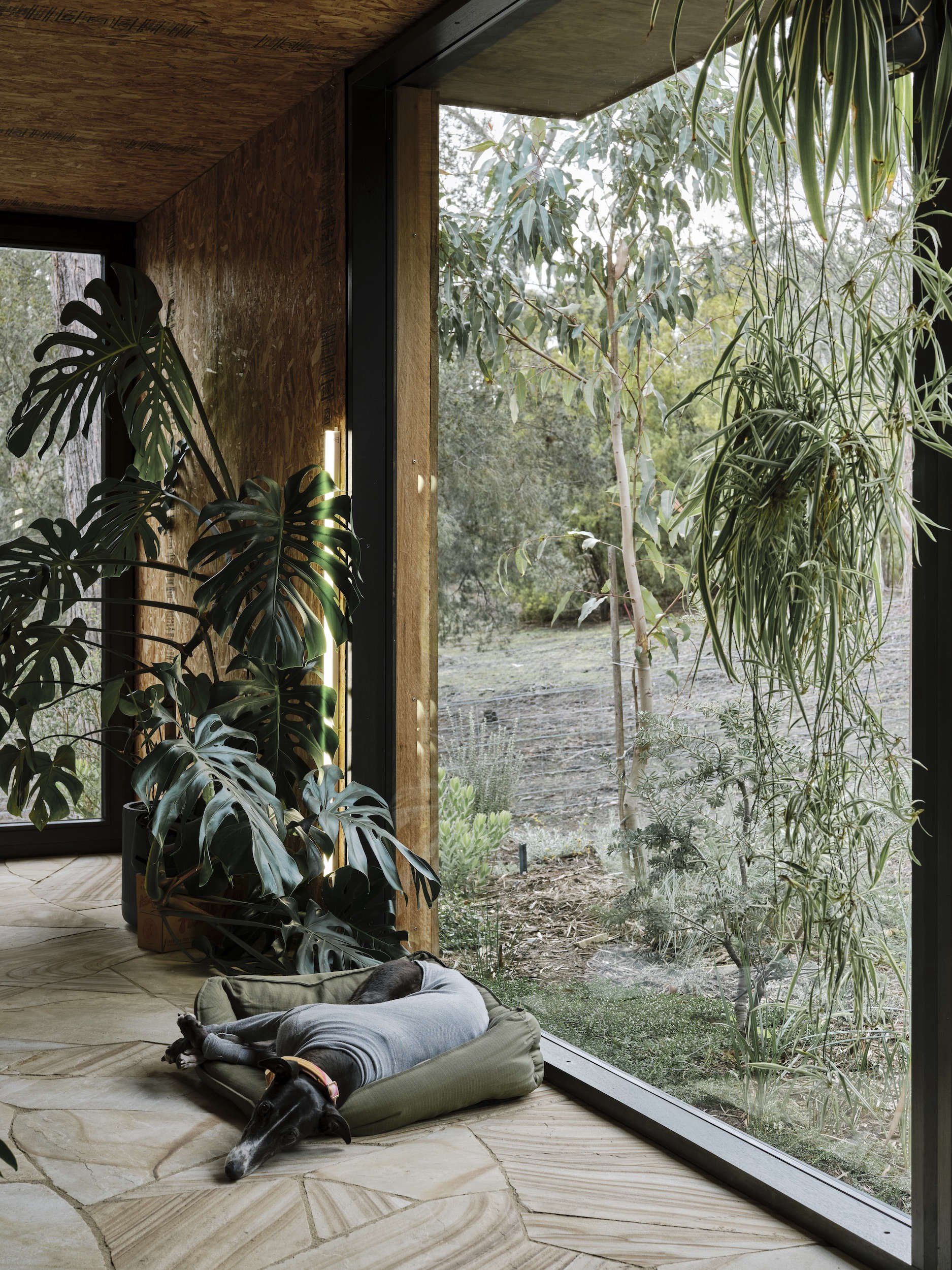 The New Starter House? An Architect Designs a Home That Can Move With ...