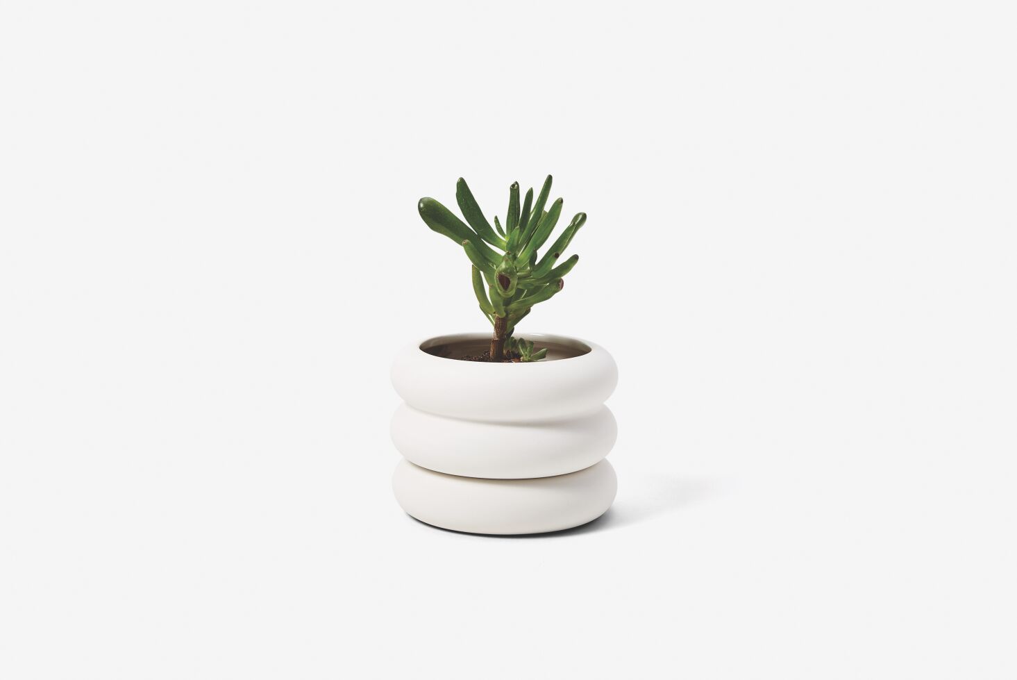 Making Spirits Bright: 8 Objects to Gift by Independent Designers, from ...