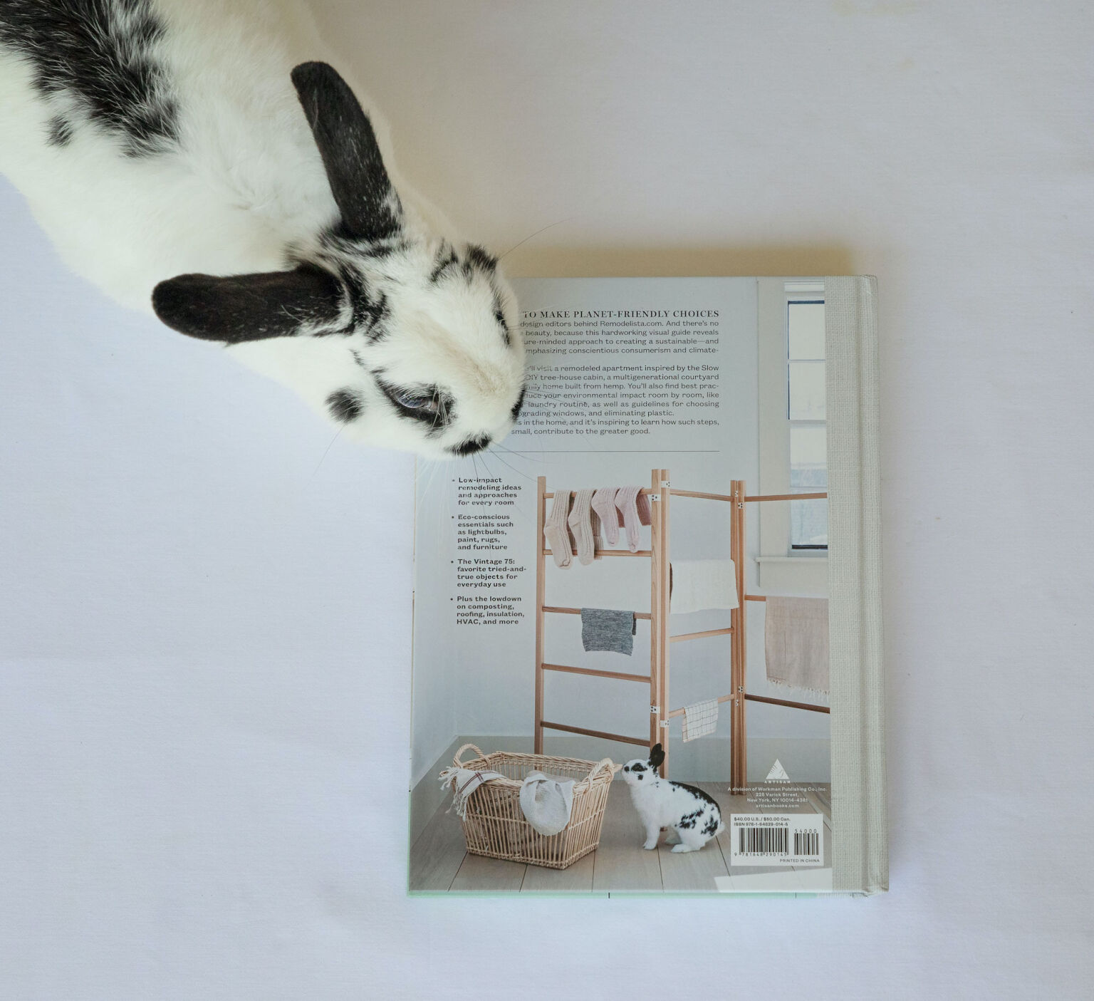 Announcing Our New Book: Remodelista: The Low-Impact Home