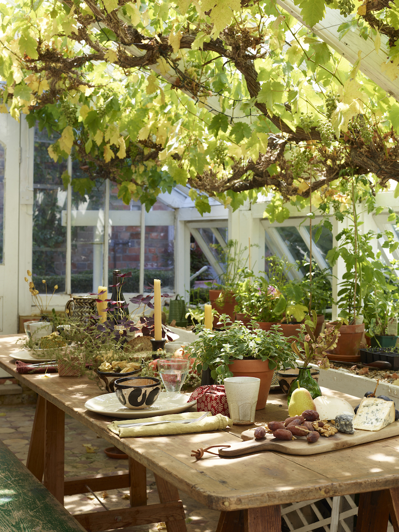 'Snippets from Our Lives': At Home with Toast's Suzie de Rohan Willner ...