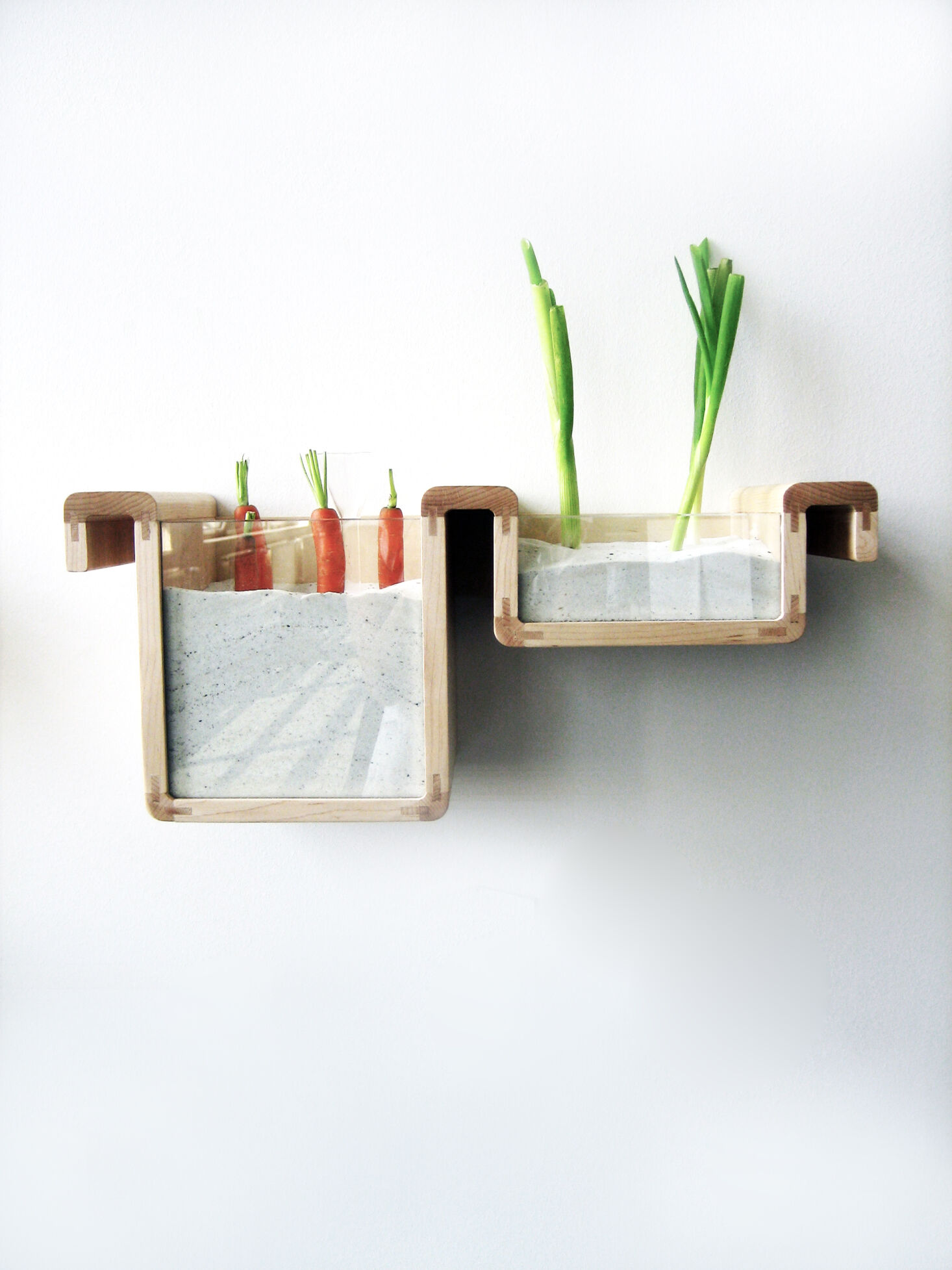 Save Food from the Fridge: 7 Eco-Friendly Alternative Food Storage ...