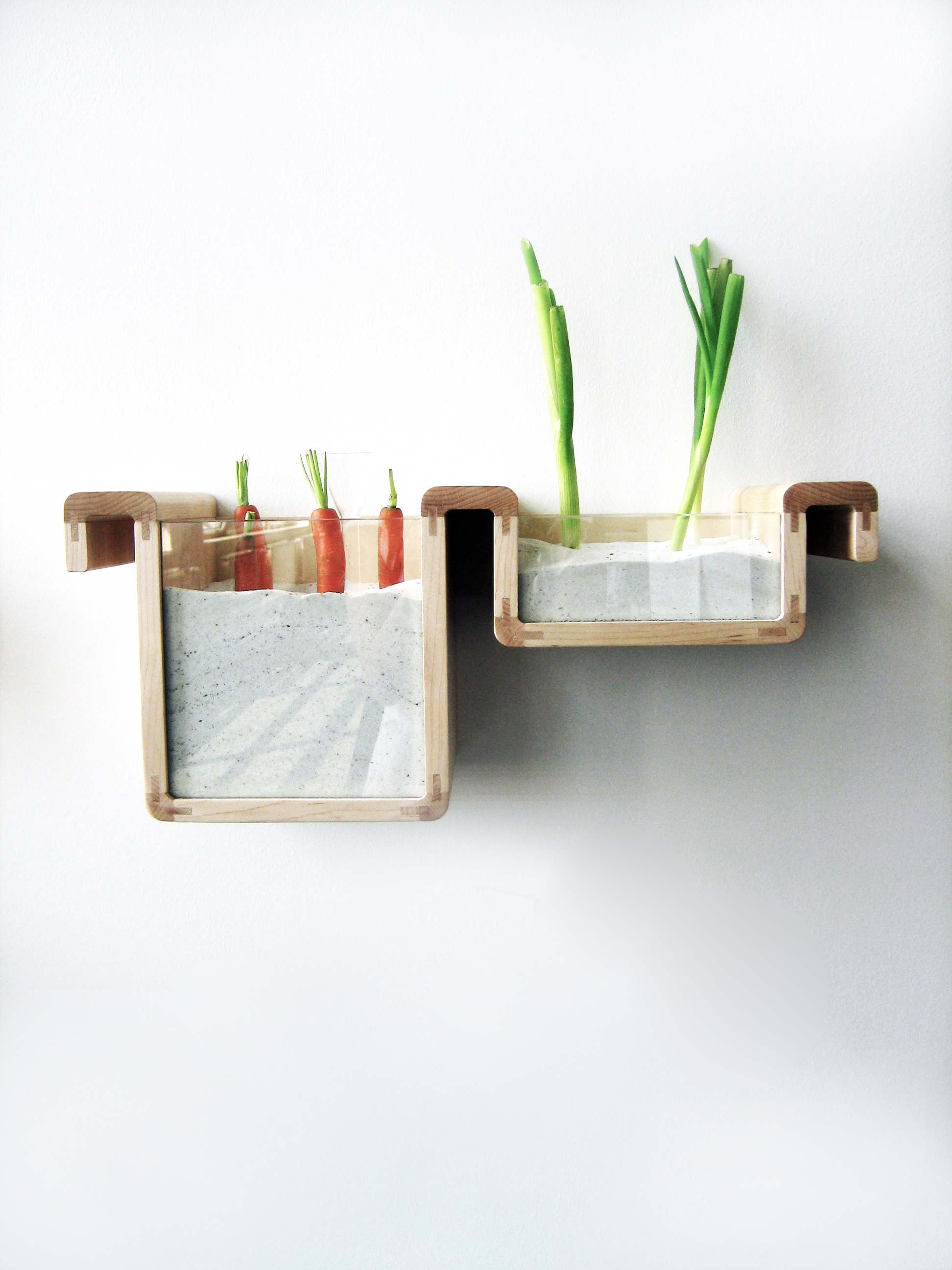 Save Food from the Fridge: 7 Eco-Friendly Alternative Food Storage ...
