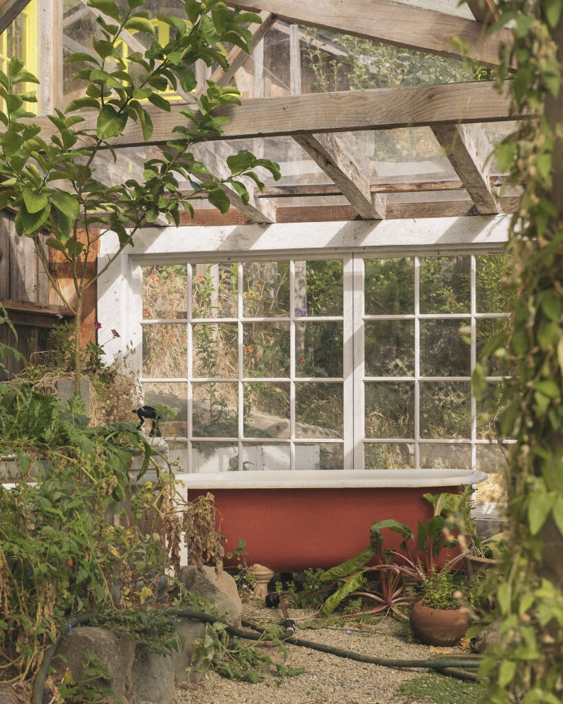 Salmon Creek Farm: Eco-Minded Community Among the Redwoods on the ...