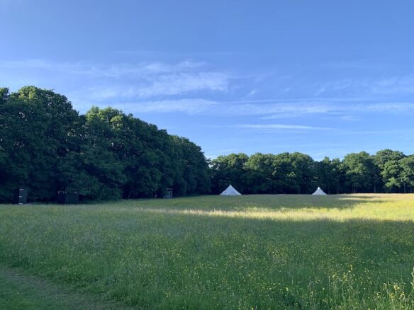 Spot House Farm: What Happens When a Textile Designer Creates a ...