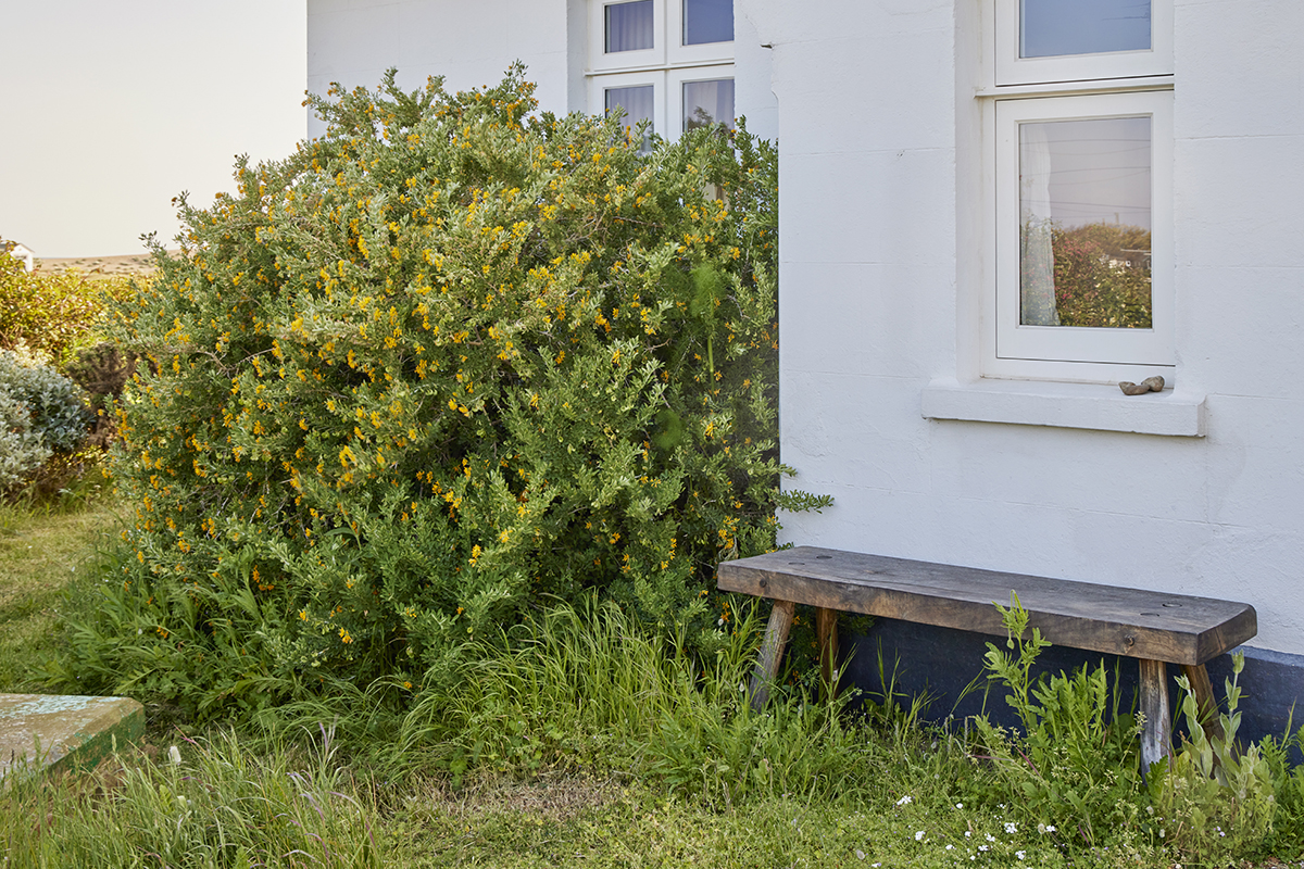 To the Lighthouse: A Pair of Sheltered Cottages at Dungeness - Remodelista