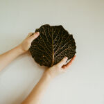 Handmade Lighting and Wall Sculptures Cast in Bronze, Brass and Plaster ...