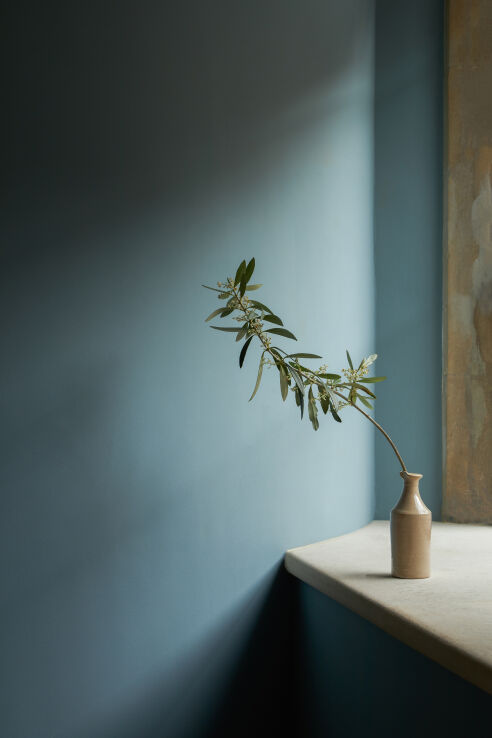 Olive Stone Emulsion - An Innovative Plant-Based Paint From Mylands in ...
