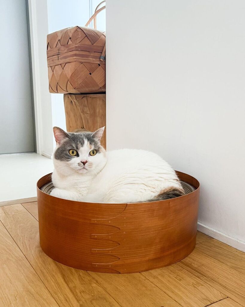 The Shaker Box Put to Practical New Uses: 5 Hardworking Designs from Japan