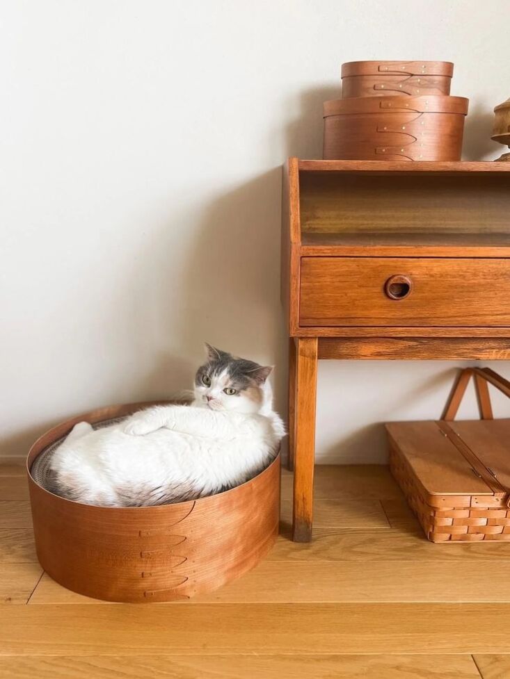 10 Design-Forward Cat Accessories from Orneko of Tokyo