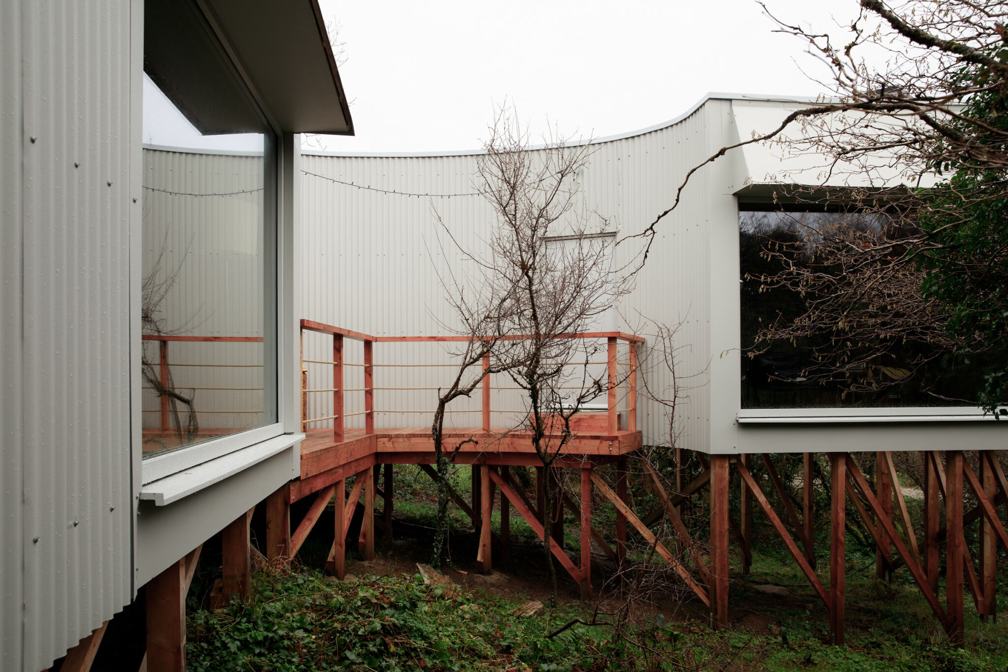 Stilt House at Fernwood: A Contemporary Vacation Cabin on an Organic ...