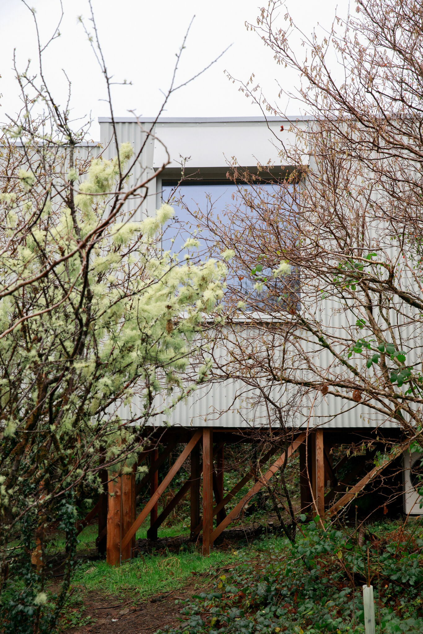 Stilt House at Fernwood: A Contemporary Vacation Cabin on an Organic ...