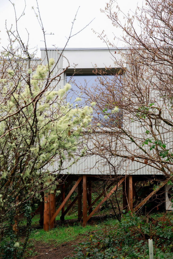 Stilt House at Fernwood: A Contemporary Vacation Cabin on an Organic ...