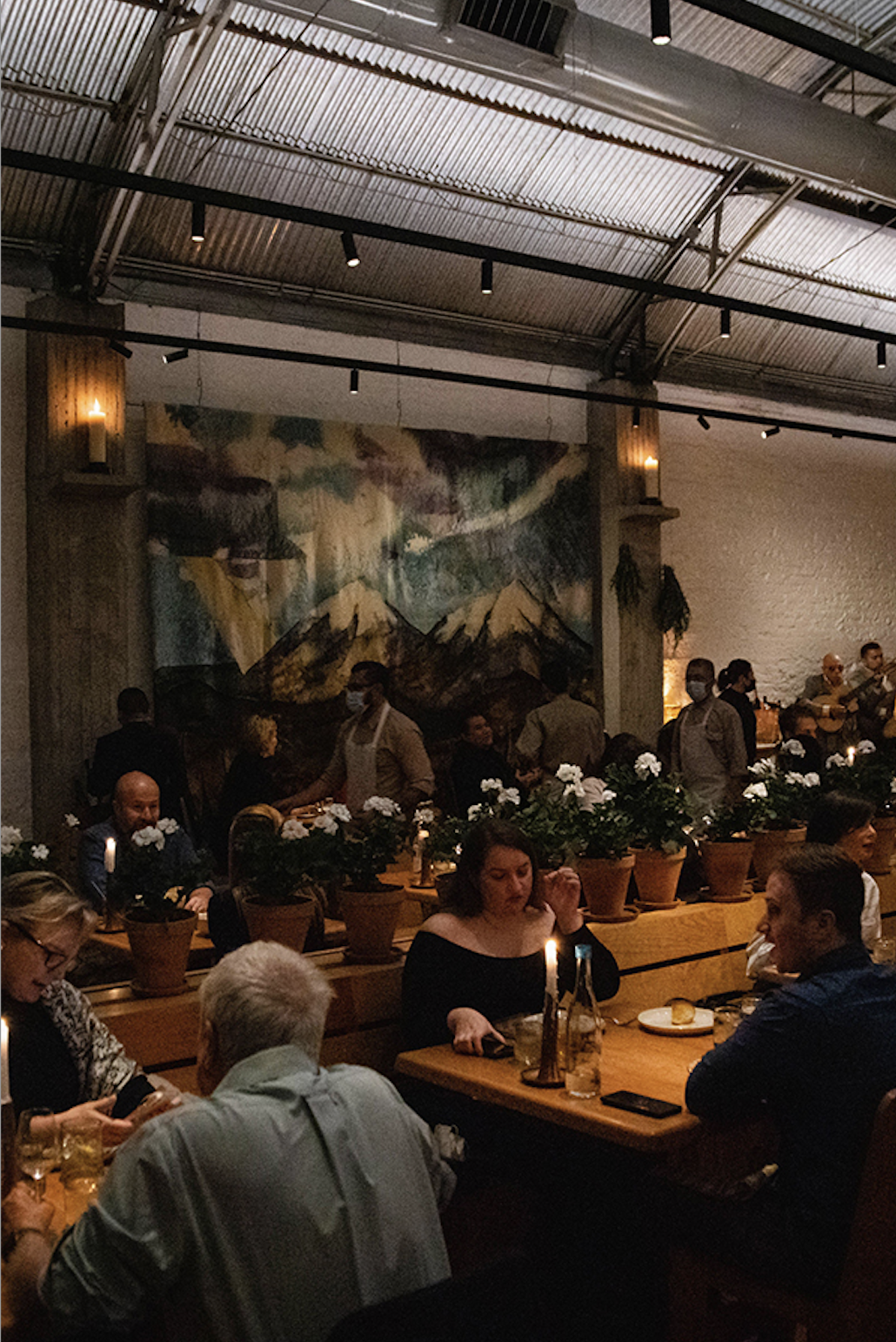 Máximo Bistrot in Mexico City - Remodelista