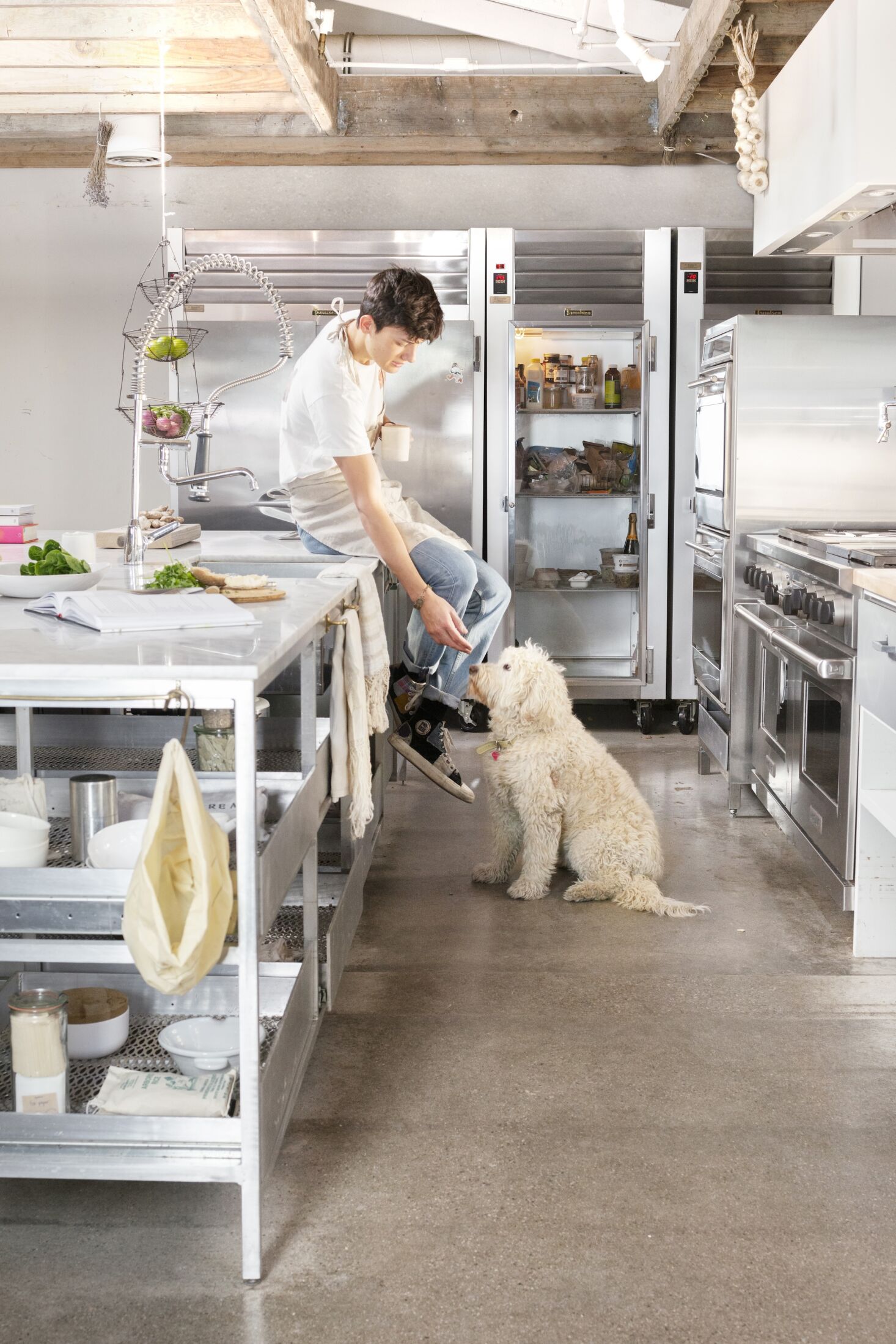 Commercial Family Kitchen in Calabasas by Designer Michaela Scherrer