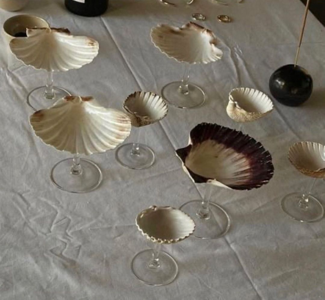 Now Trending: Seashells in Interiors, 12 Ways - Remodelista