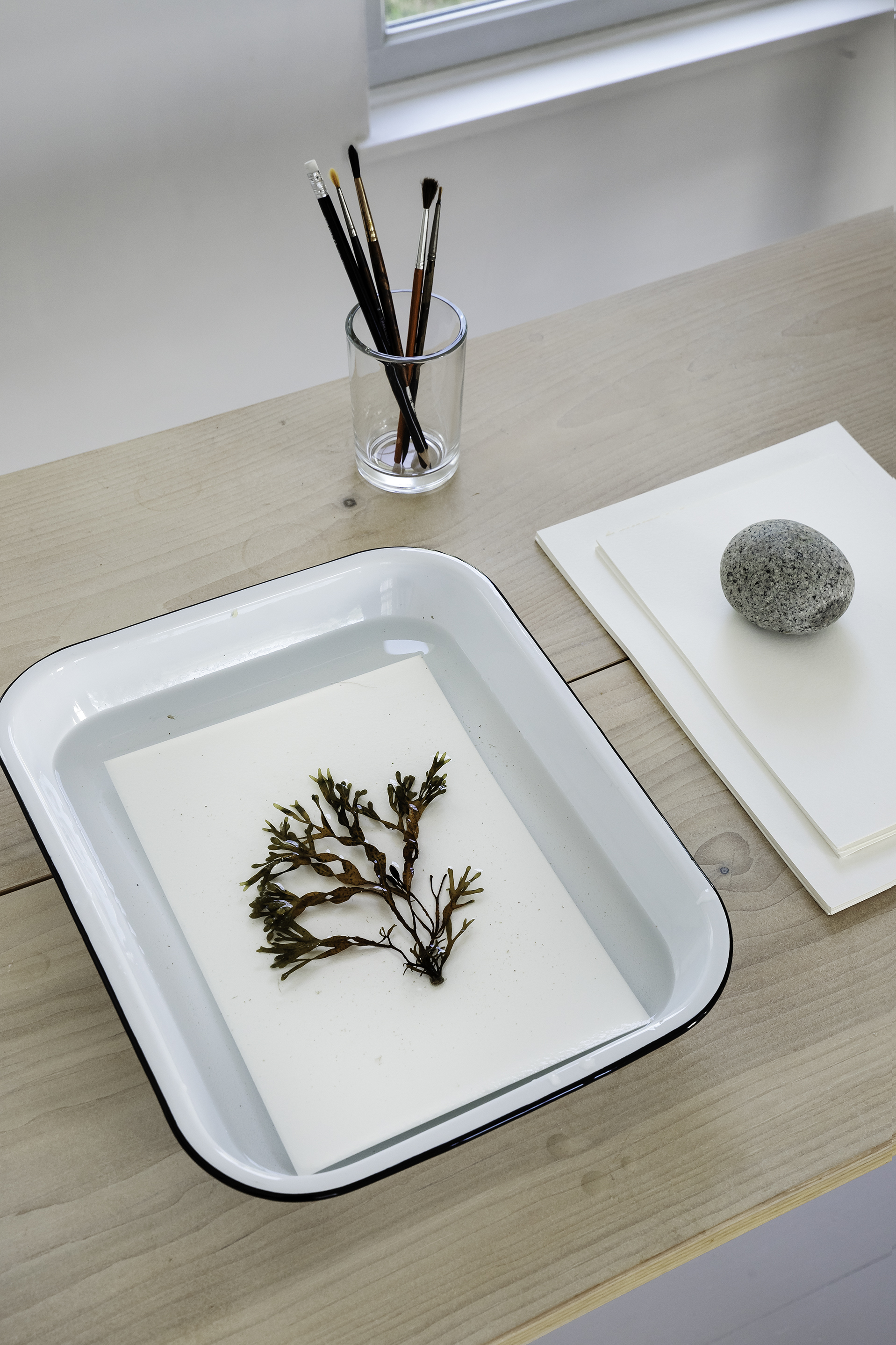 Souvenirs of Summer: Pressed Seaweed Prints - Remodelista
