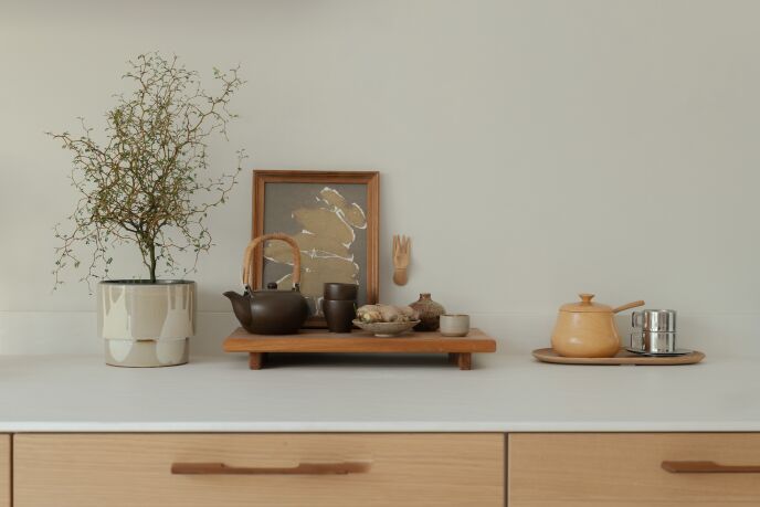 Suzanne Pardijs New Open-Plan Kitchen in the Netherlands