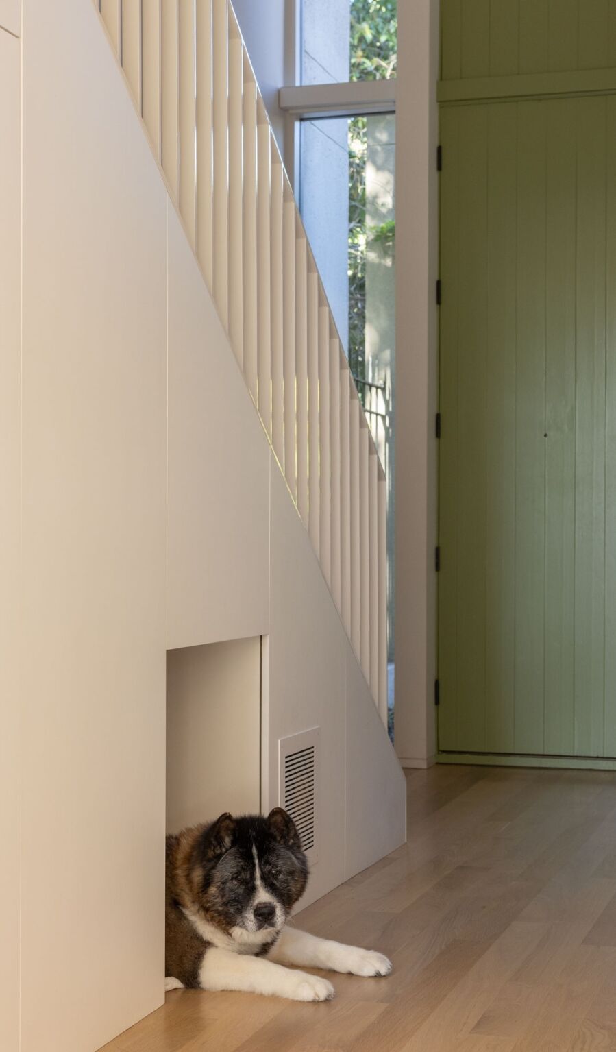 8 Standout Pet Built-Ins: Integrated Designs for Dog and Cat Bowls ...