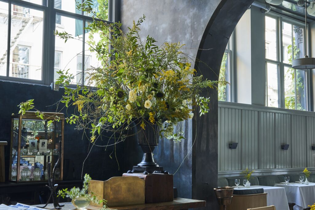 Domestic Flora Alex Crowder Field Studies Flora: Expert Advice