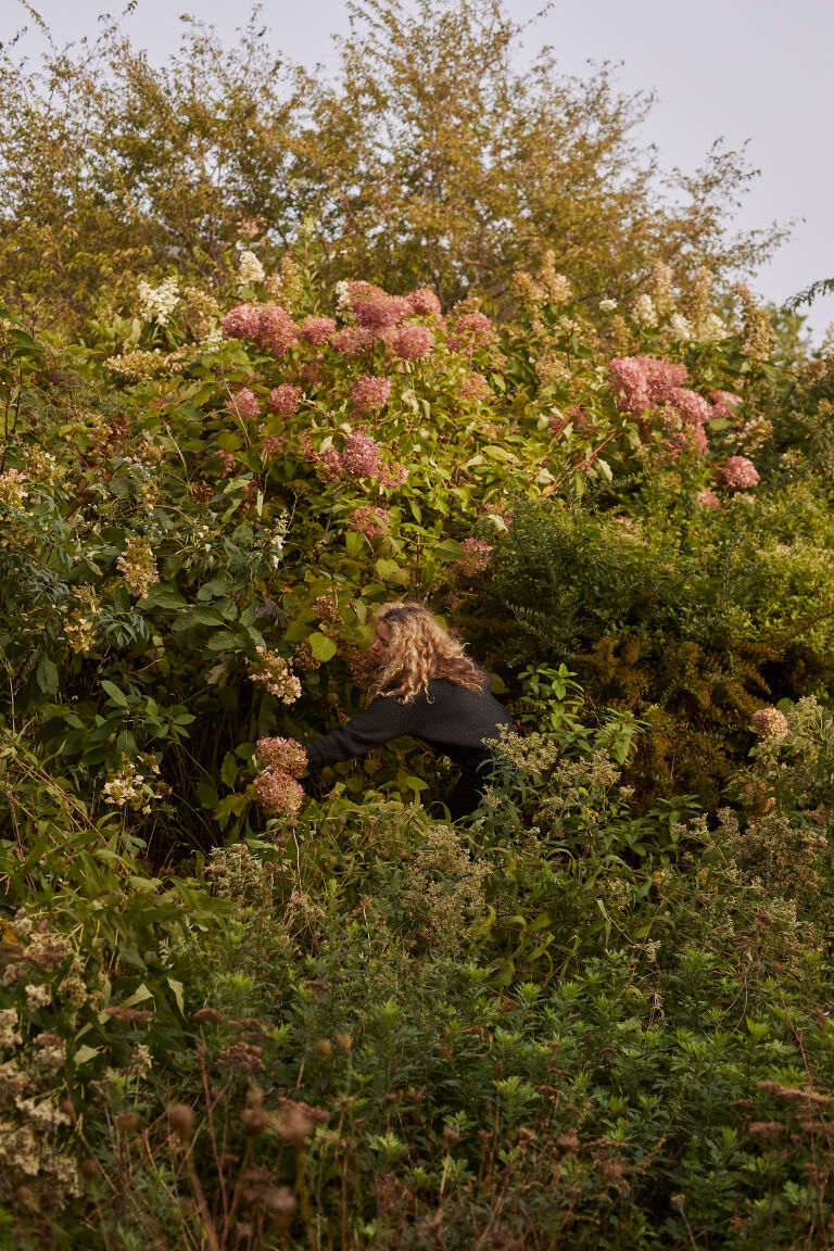 Domestic Flora Alex Crowder Field Studies Flora: Expert Advice